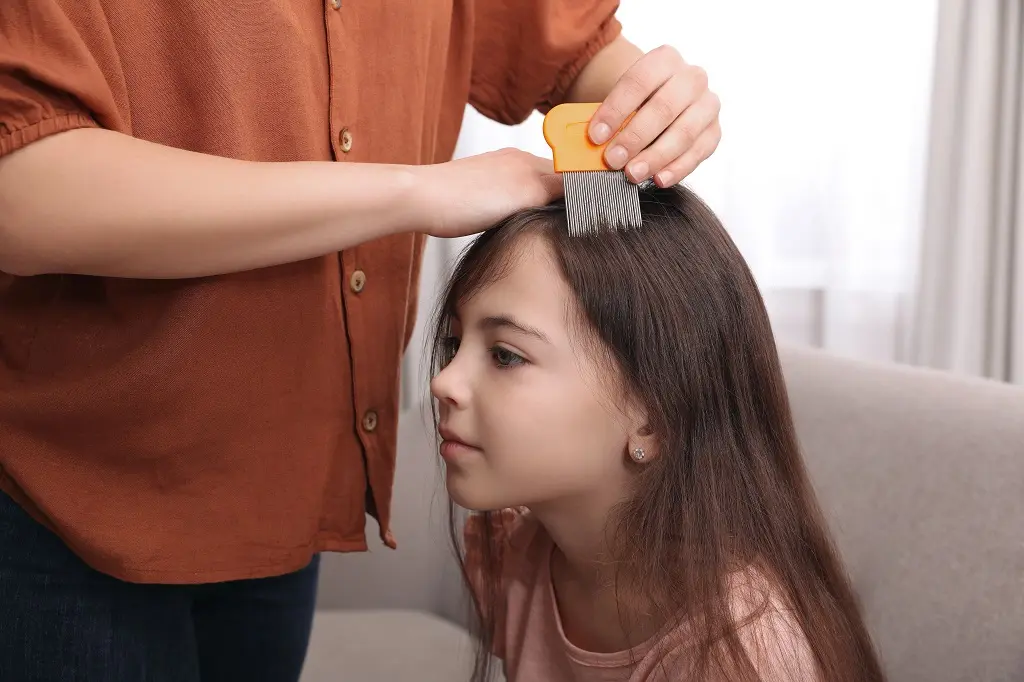 How To Use Lice Comb To Remove Lice And Nits Lice Doctors Licedoctors